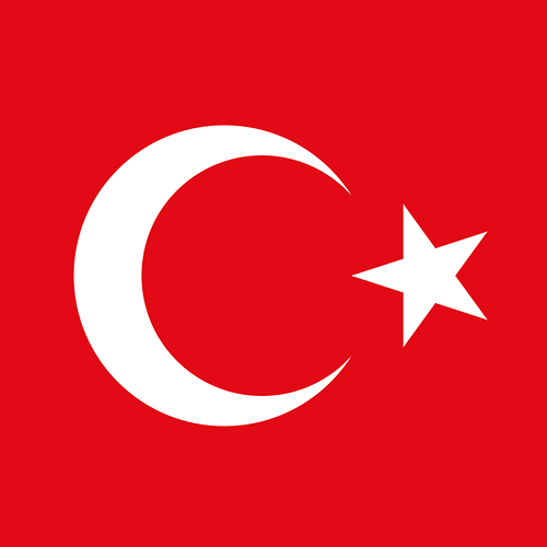 Home- Rave flyers, underground flyers and posters preservation project